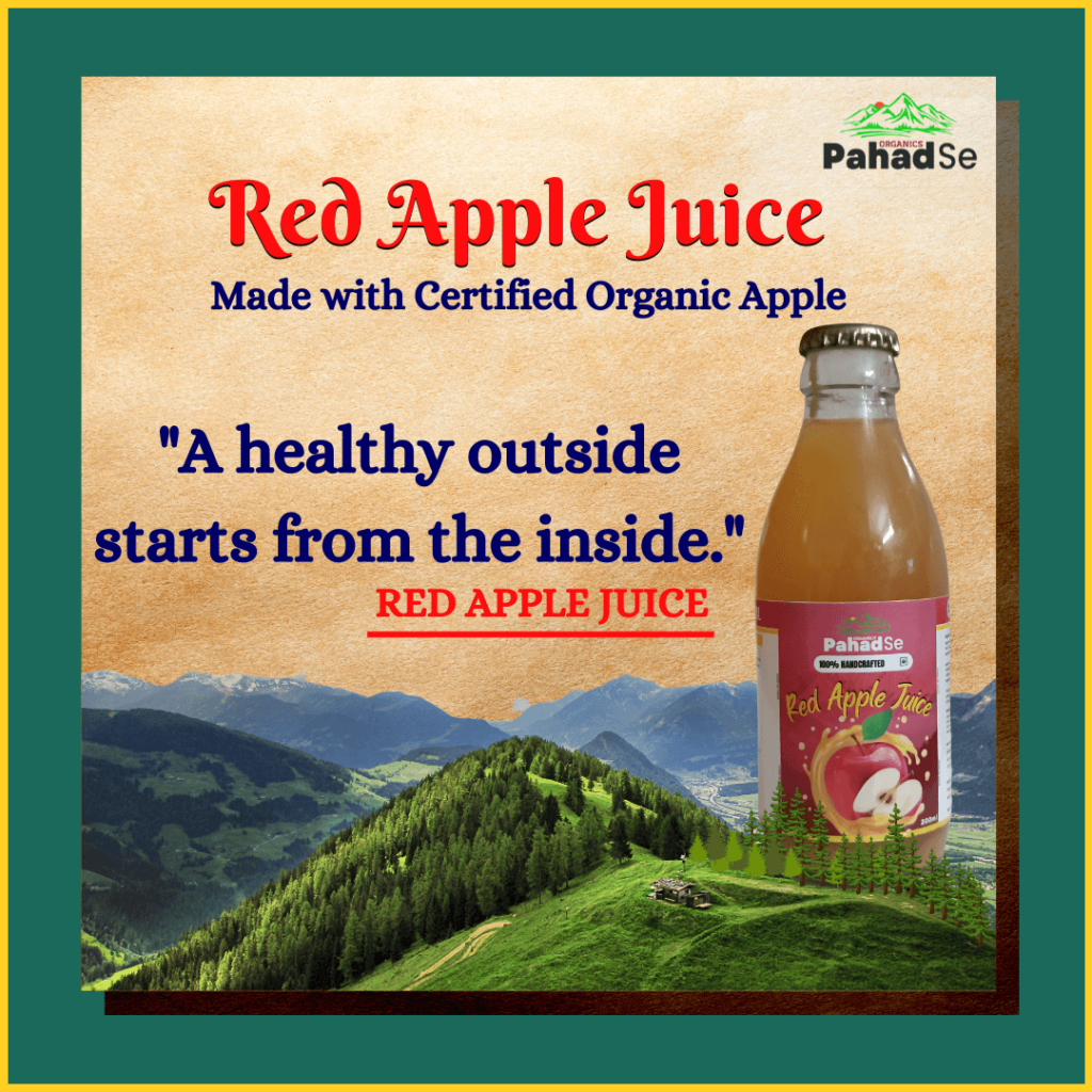 Red Apple Juice 6 Bottle Pack | Pahadi Zaika